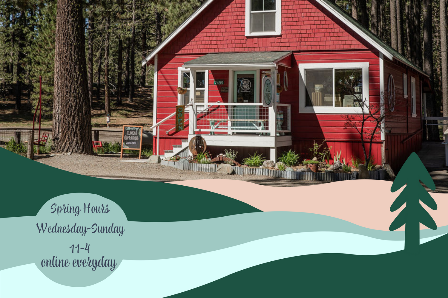 Wild Pines Shop of local art and brands with integrity